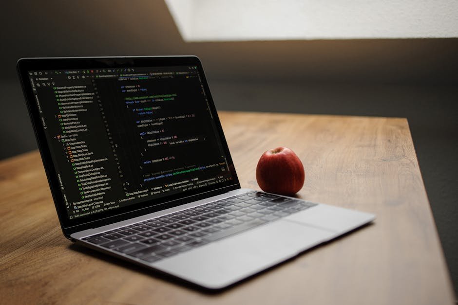 15 Fully Funded PhD Programmes You Can Apply To Right Now